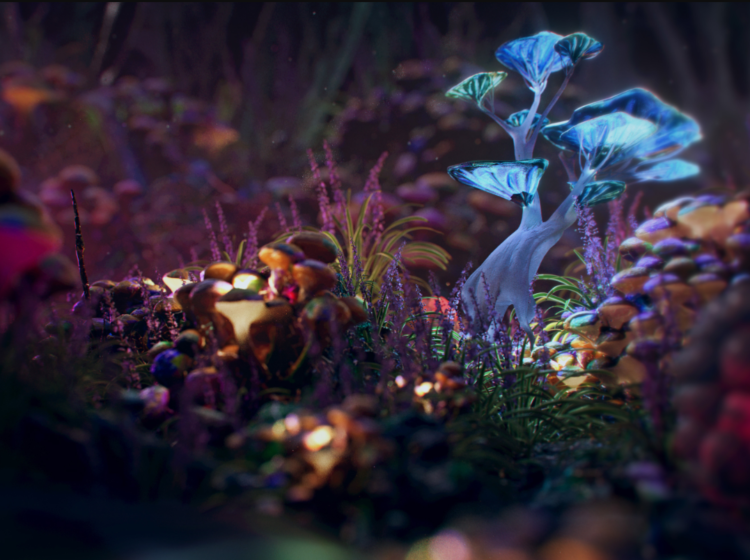 Autodesk vision series at FMX - andvfx